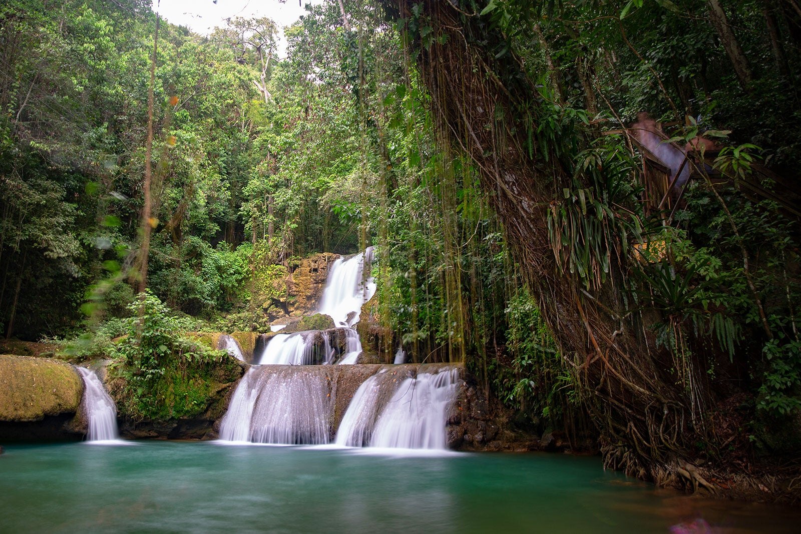 10 Best Things to Do in Montego Bay - What is Montego Bay Most Famous ...