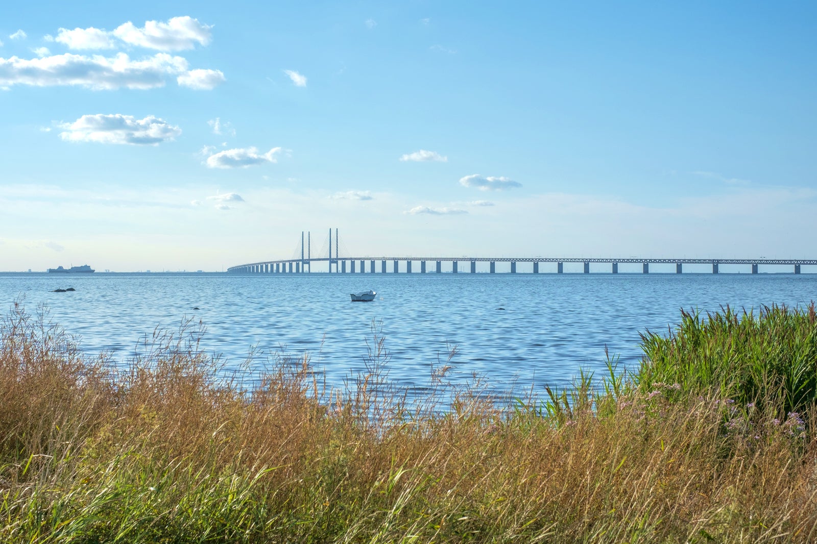 Bunkeflostrand i Malmö - En havsnära stadsdel med natur och ...