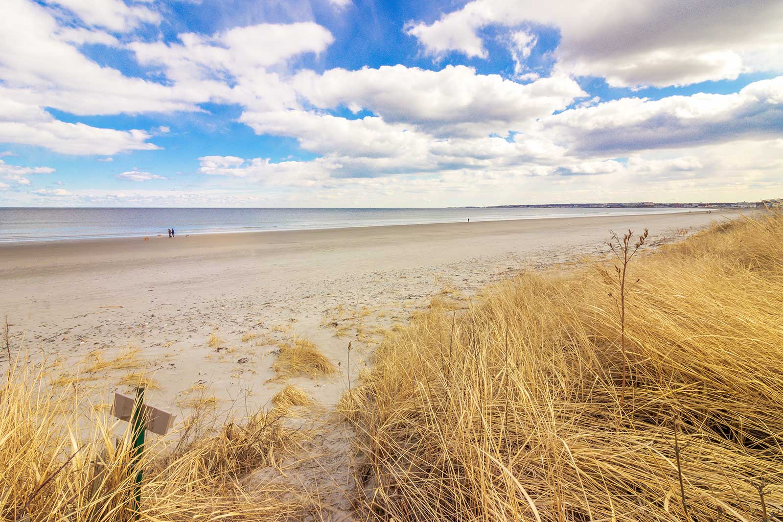 10 Best Beaches in Boston - What is the Most Popular Beach in Boston ...