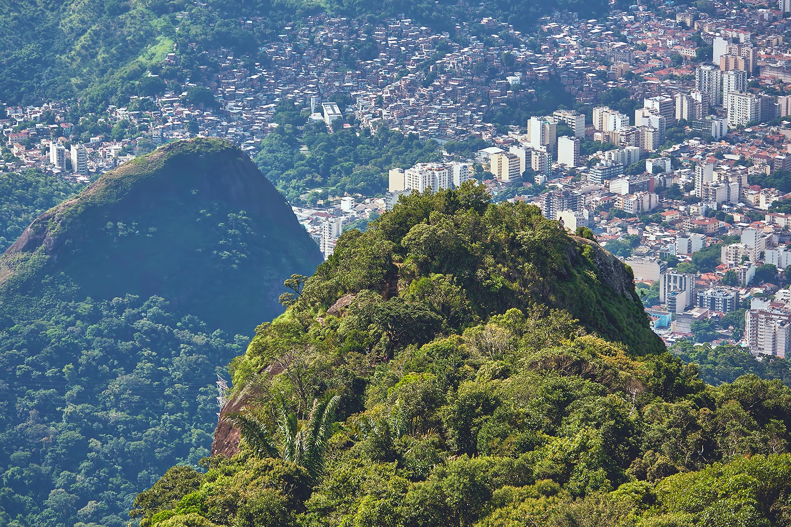 Parque Nacional da Tijuca no Rio de Janeiro - A maior floresta urbana ...