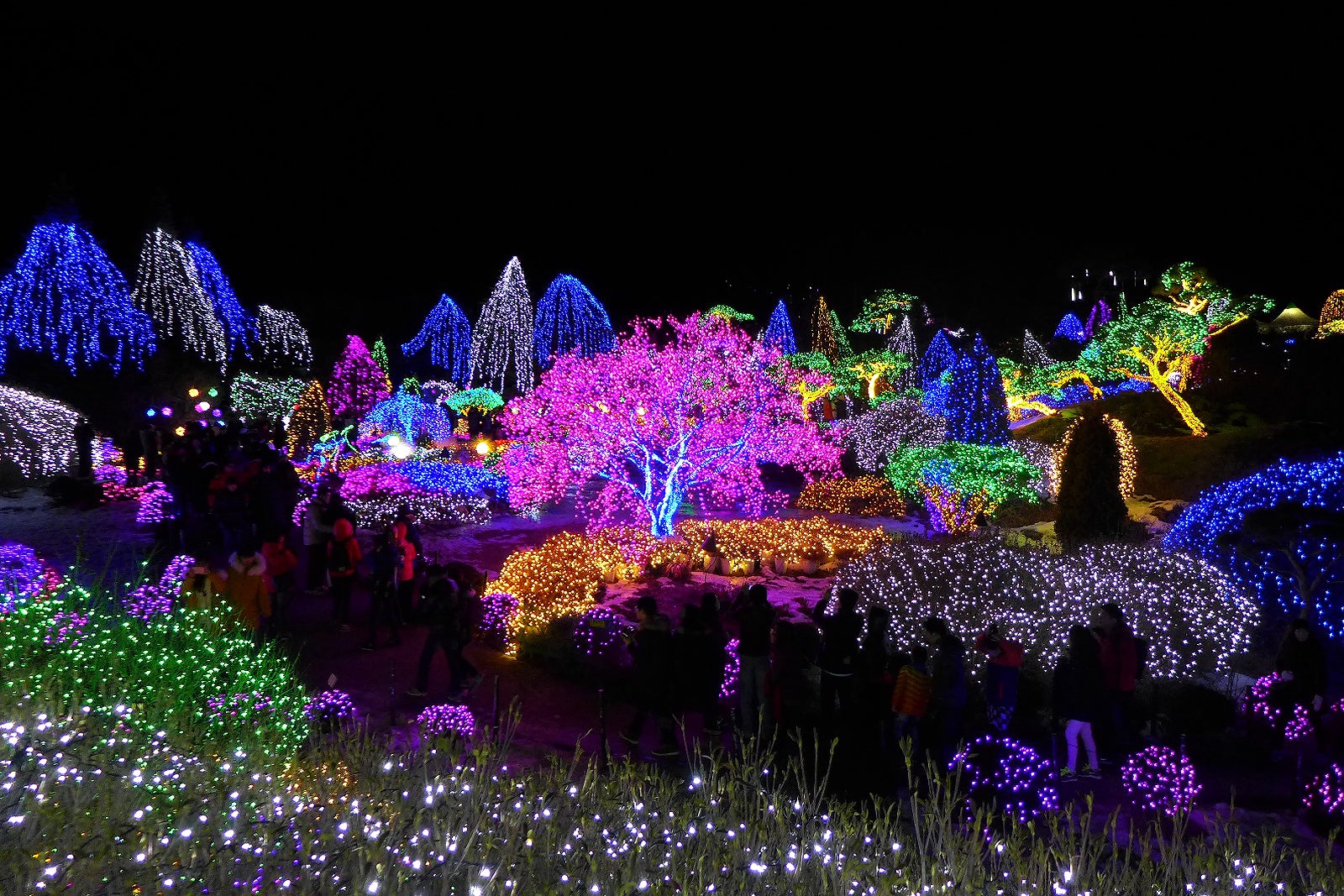 9 Best Things to Do This Winter in Seoul - Make the Most of Your Winter ...