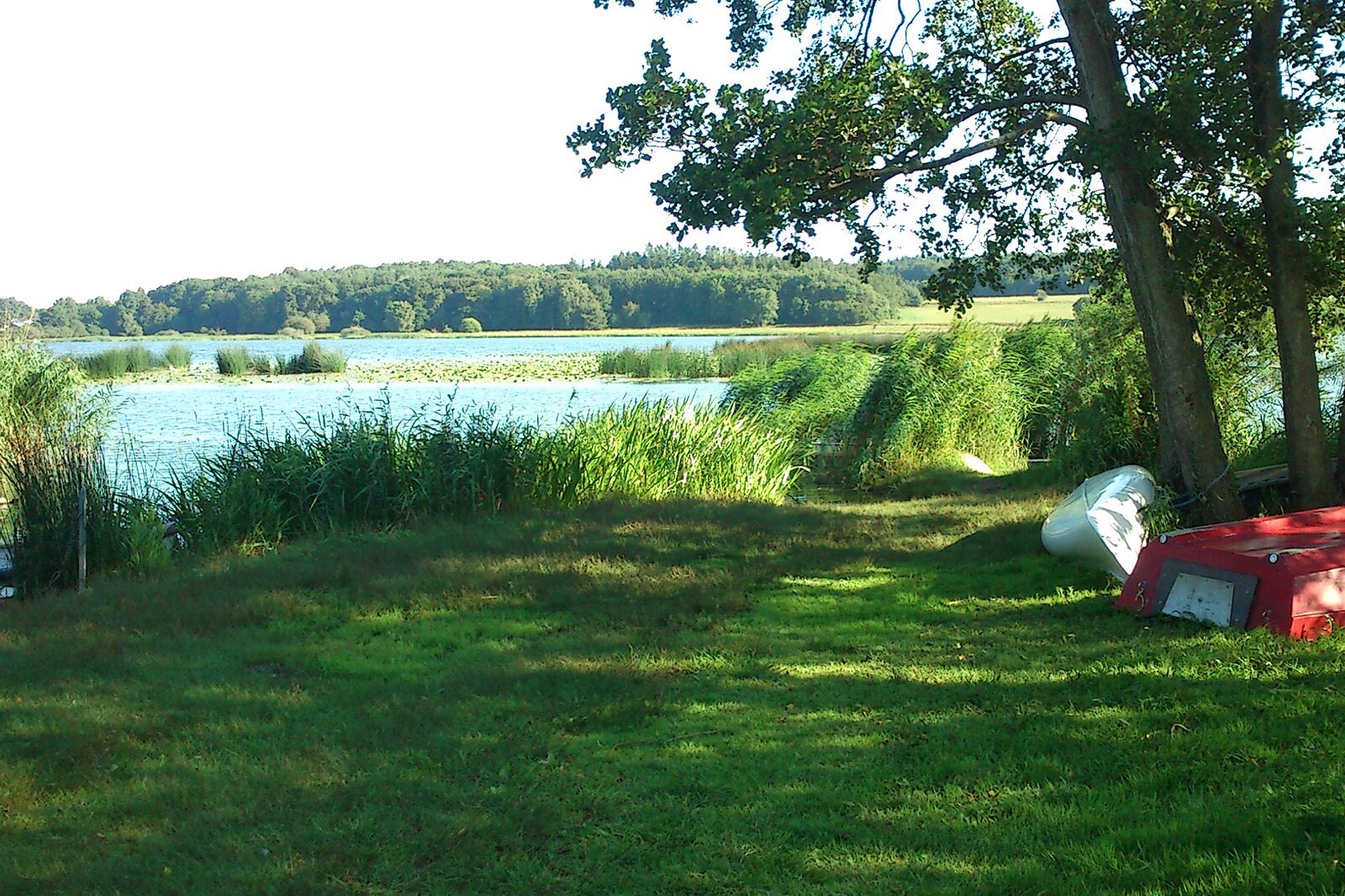 Brabrand Sø i Aarhus - Populær sø i naturskønne omgivelser få kilometer ...