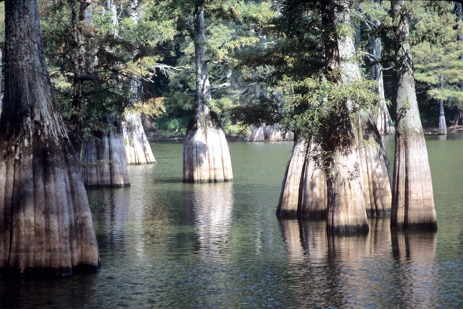 10 Best Natural Wonders in Texas - Take a Road Trip Through Texas – Go ...