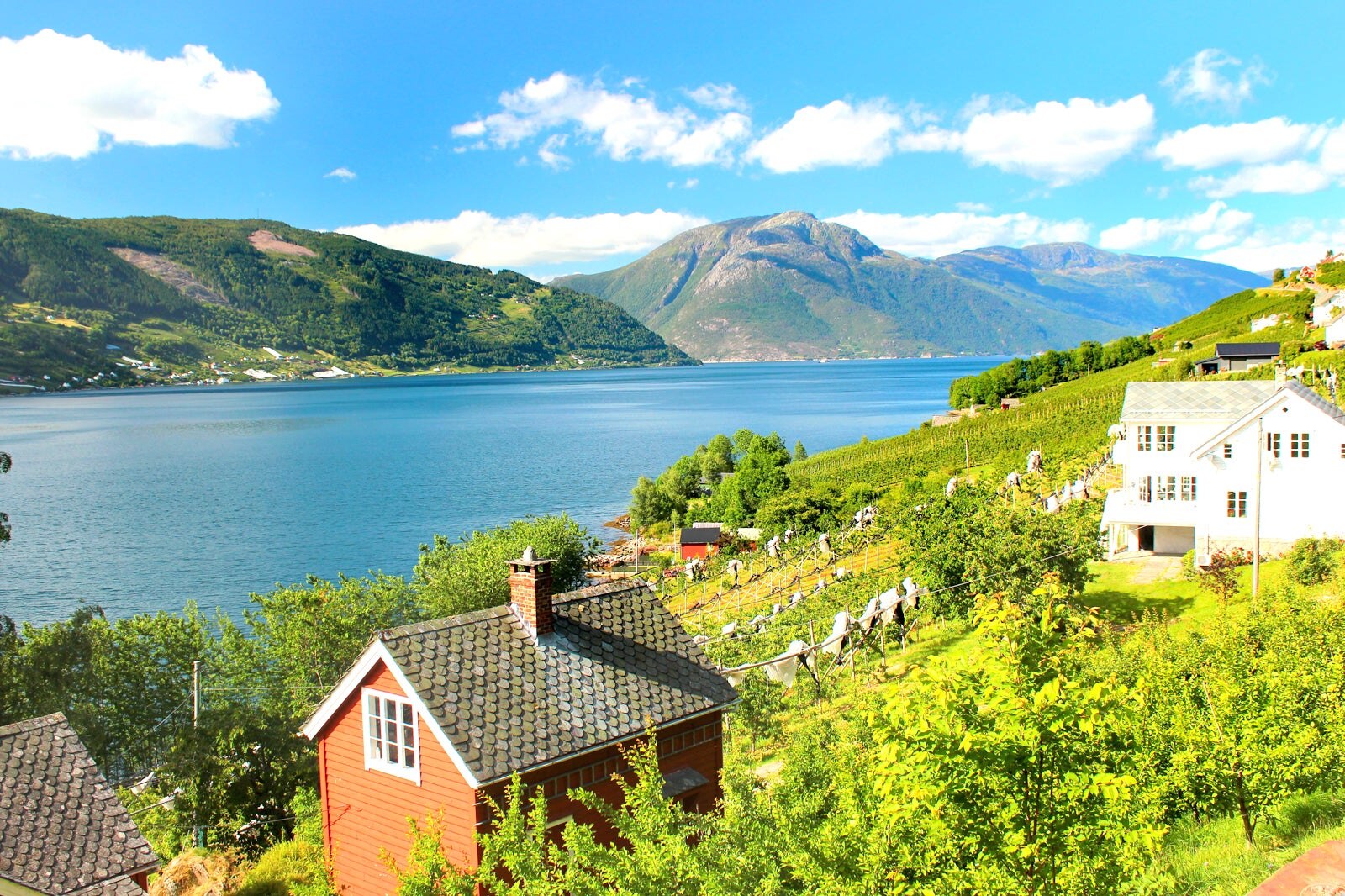The Most Spectacular Fjords in Norway - Let this be the Year You ...