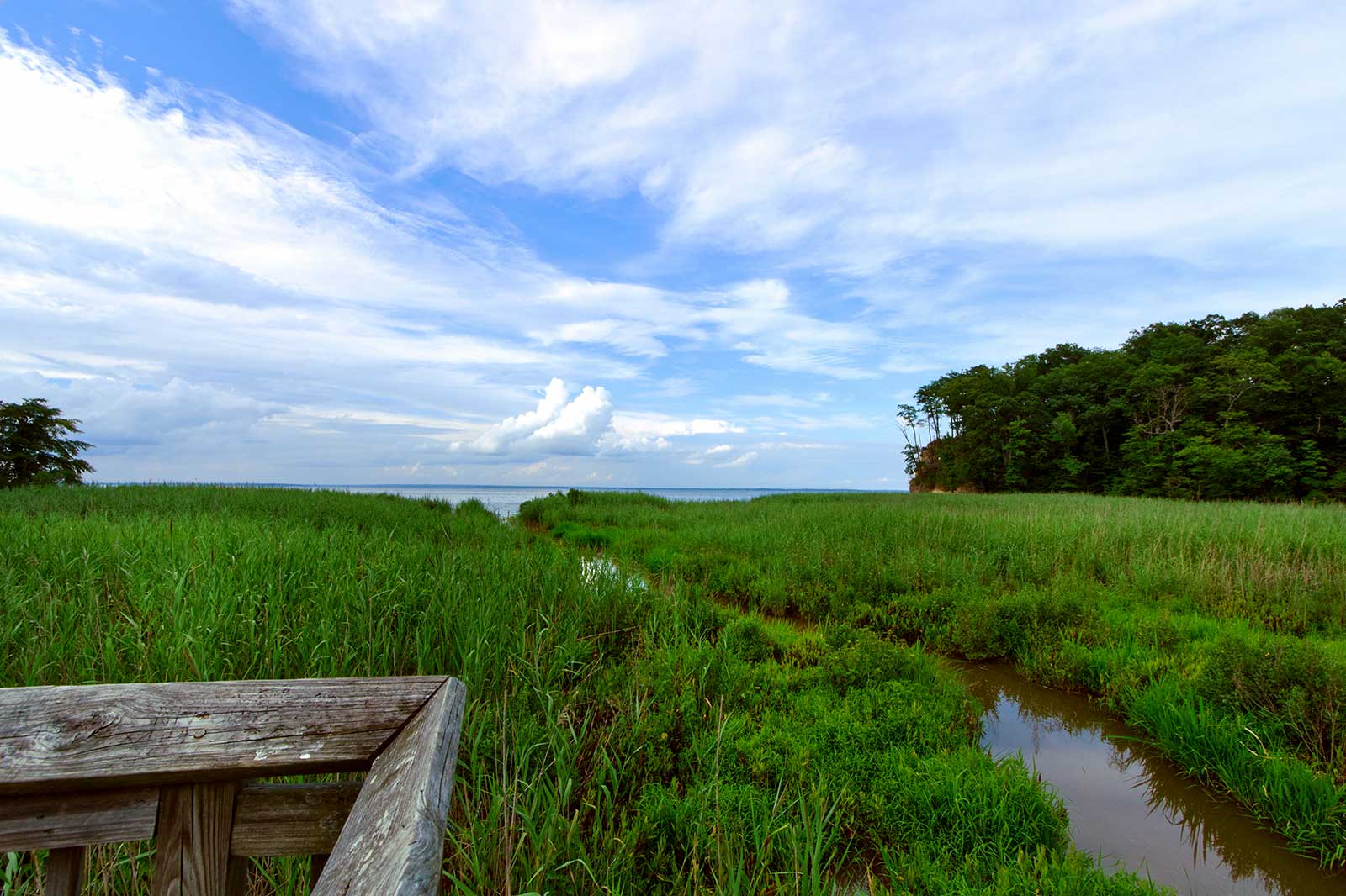 10 Best State and National Parks in Virginia - Escape to Virginia’s ...