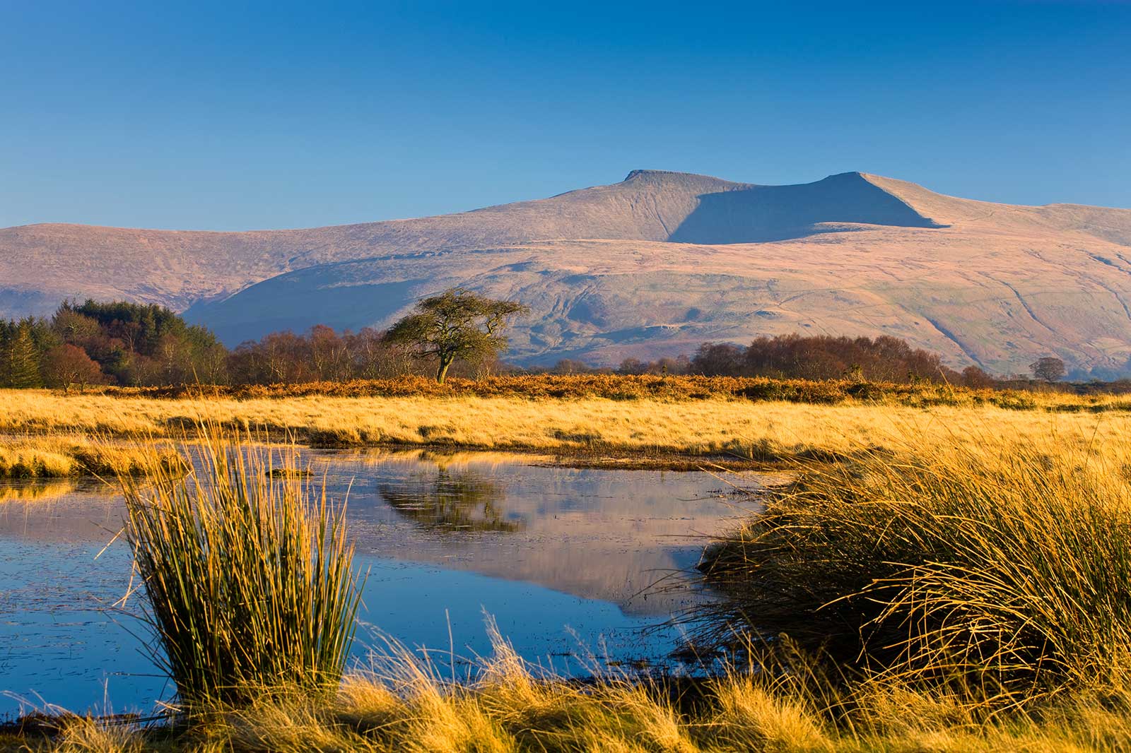 10 Best Mountains in Wales - What is the Most Popular Mountain in Wales ...
