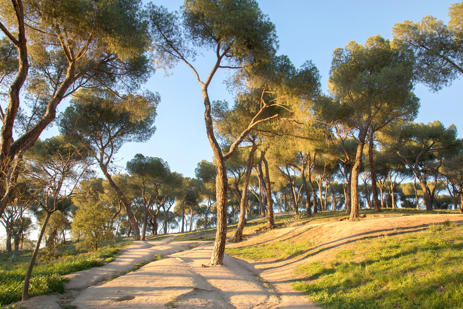 10 Best Parks in Madrid - Explore Madrid's Most Beautiful Outdoor ...