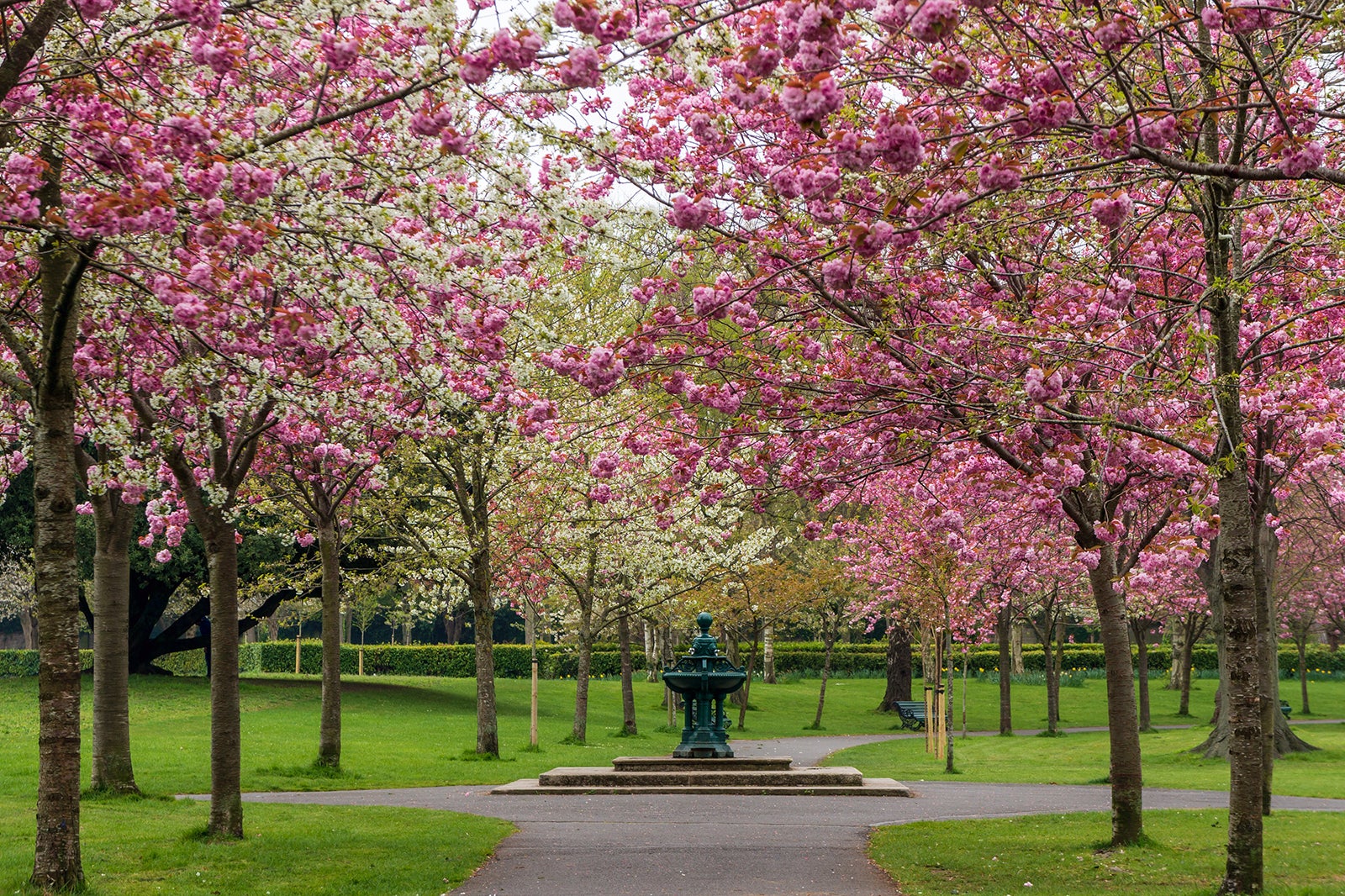 10 Best Parks in Dublin - Explore Dublin's Most Beautiful Outdoor ...