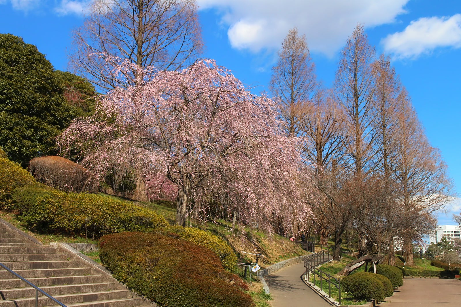 10 Things to Do in Sendai on a Small Budget - What are the Cheap Things ...