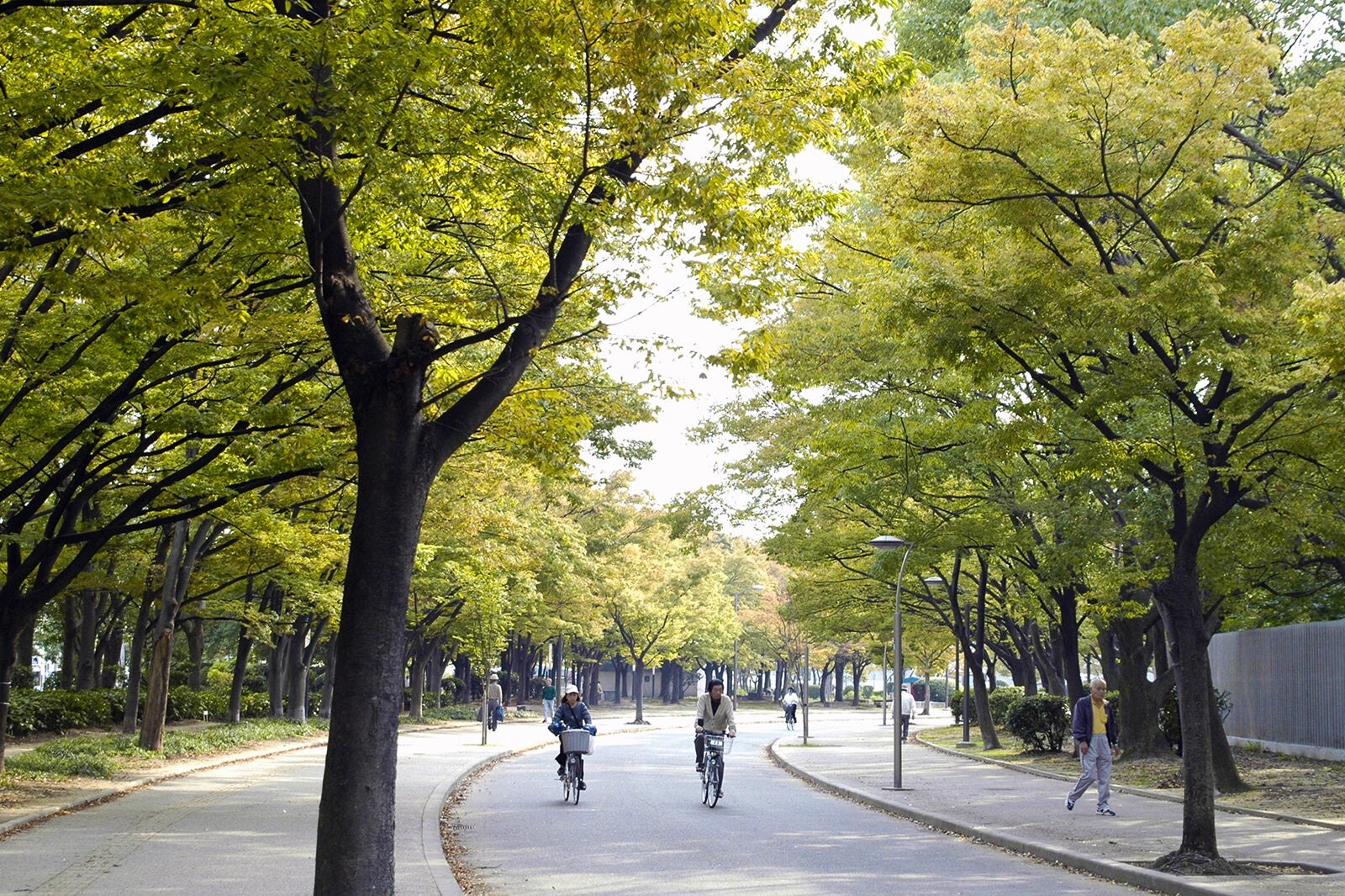 10 Best Parks in Osaka - Which Parks and Garden to Visit in Osaka? – Go ...