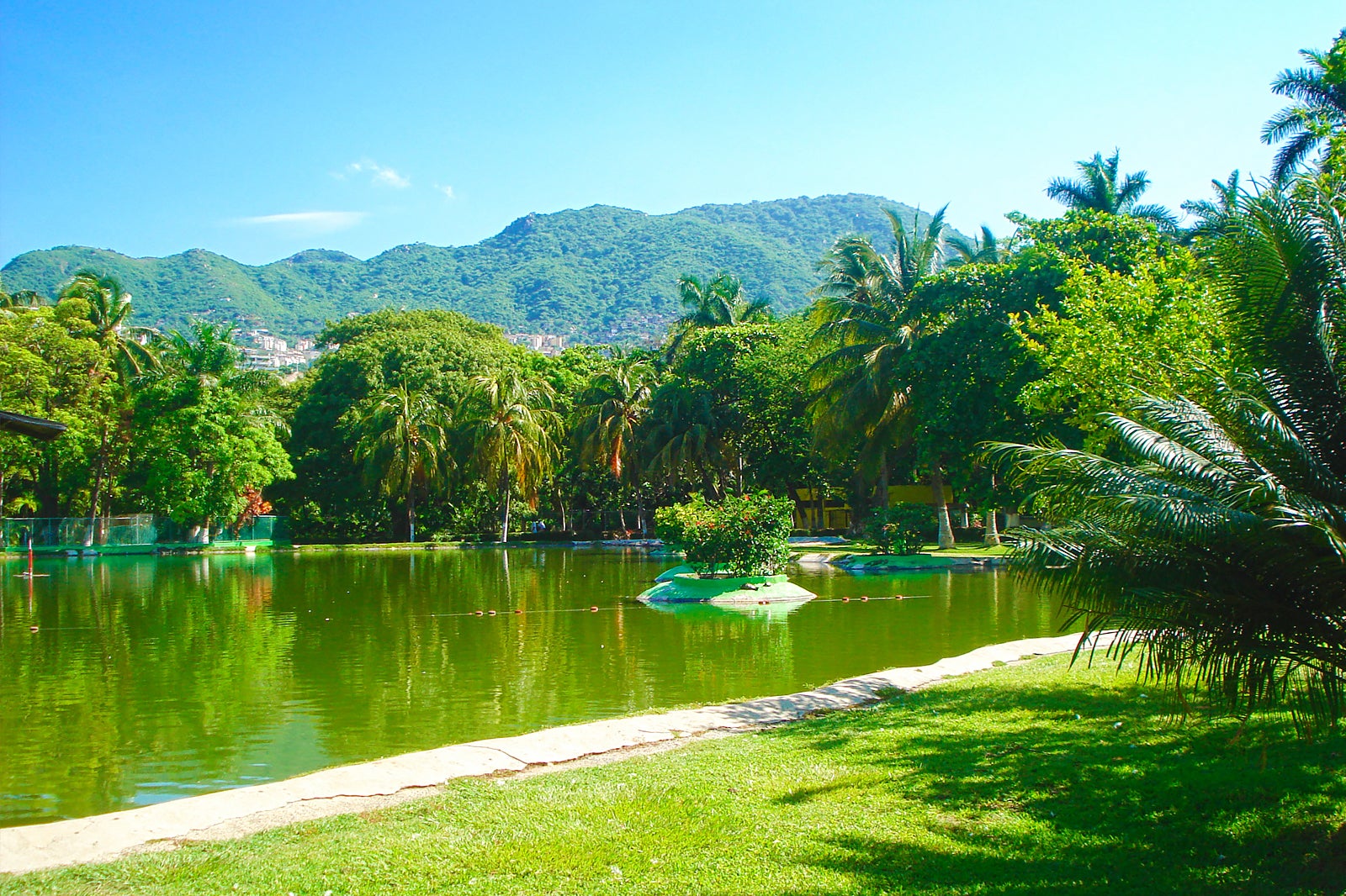 8 Best Family Things to Do in Acapulco - What to Do for Fun in Acapulco ...