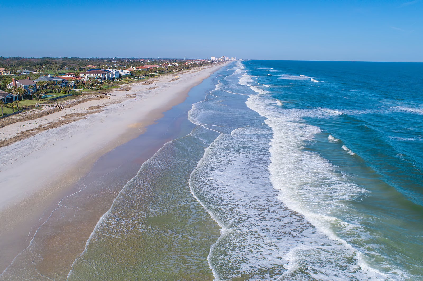 What Beaches In Jacksonville Allow Dogs
