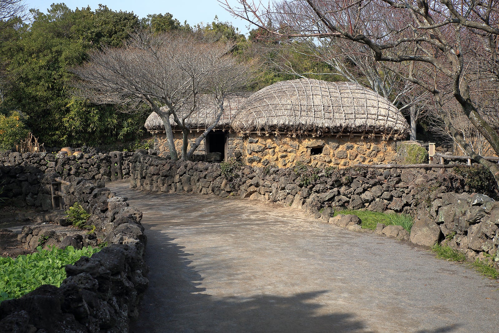 10 Famous Movie Locations in Jeju Island - Visit Iconic Jeju Island ...