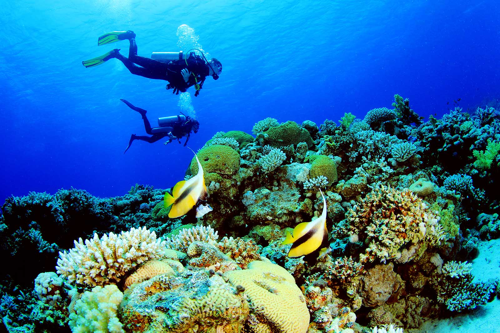 10 Best Things to Do in Guam - What is Guam Most Famous For? – Go Guides