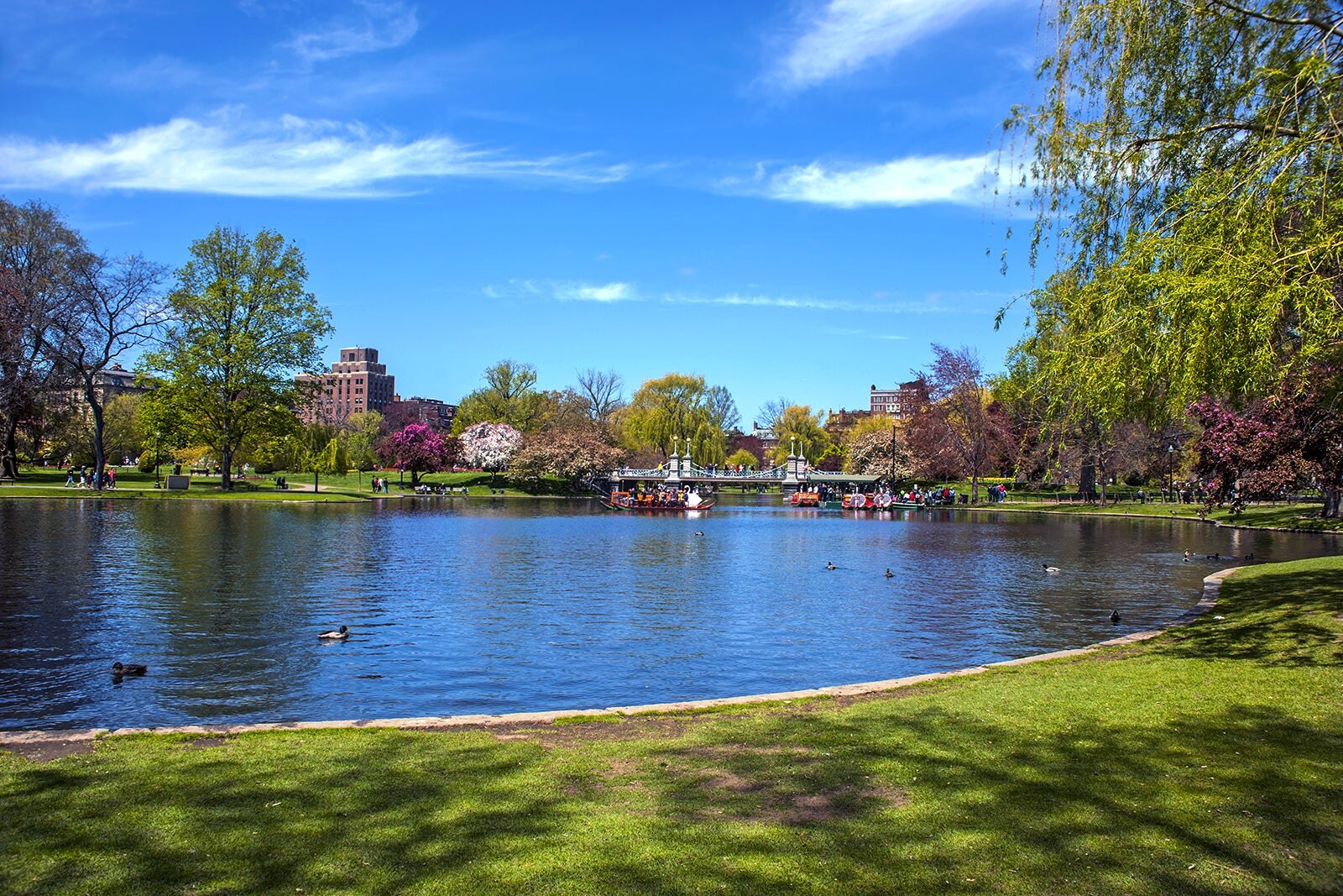 Boston Public Garden Visit The First Public Botanical Garden In Boston Public Garden Visit The First Public Botanical Garden In