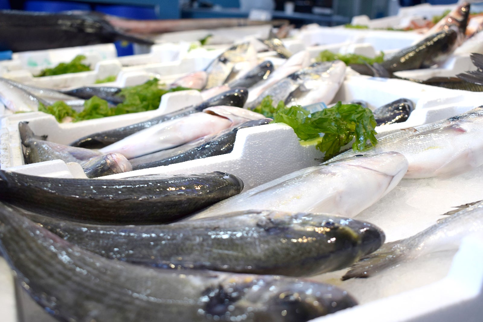 10 Best Markets in Cape Cod - Where to Go Shopping like a Local in Cape ...