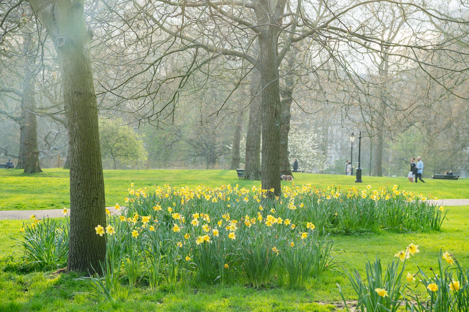 10 Best Parks in London - Explore London's Most Beautiful Outdoor ...