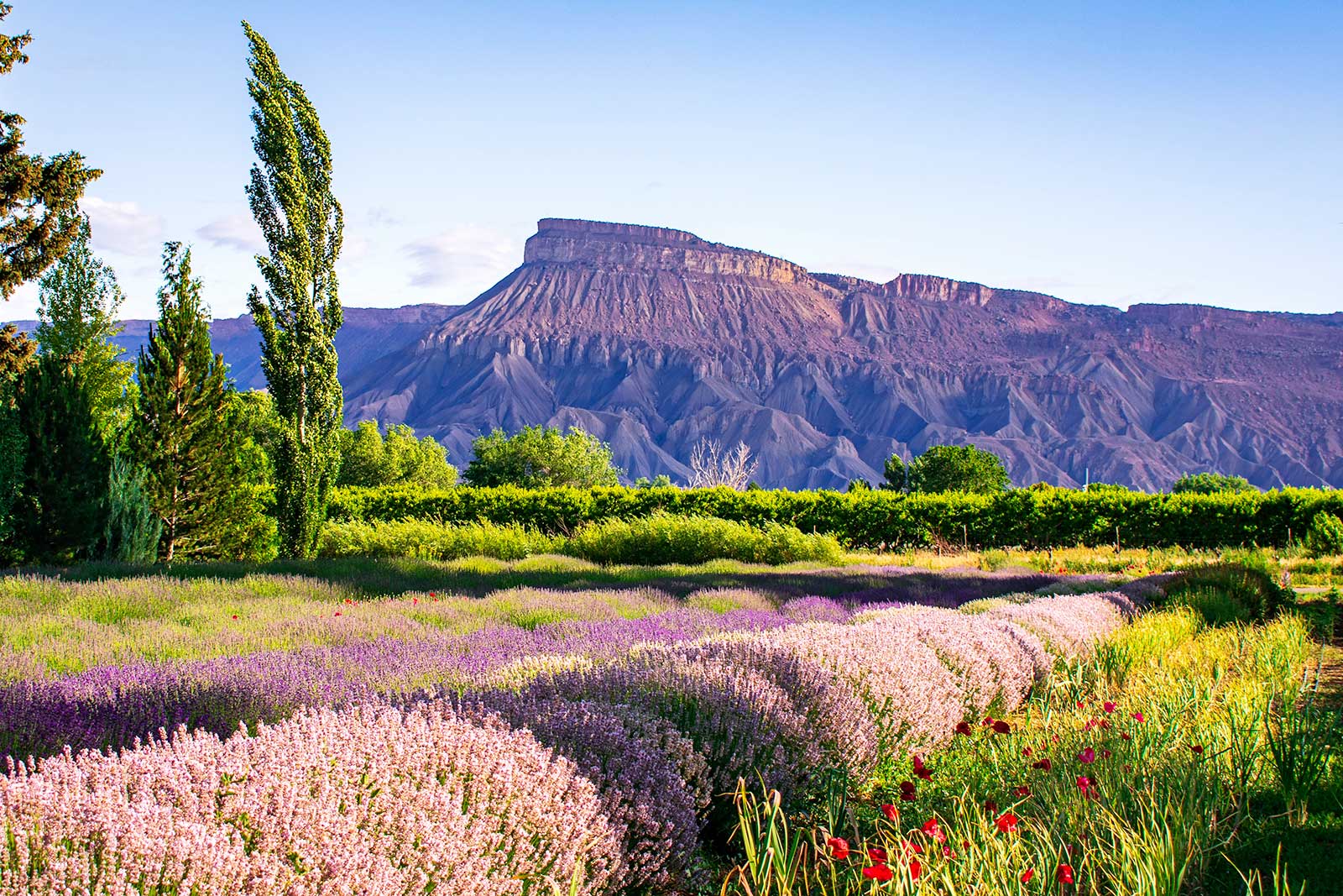 10 Places to Go in Colorado for the Weekend - Escape for a Short ...