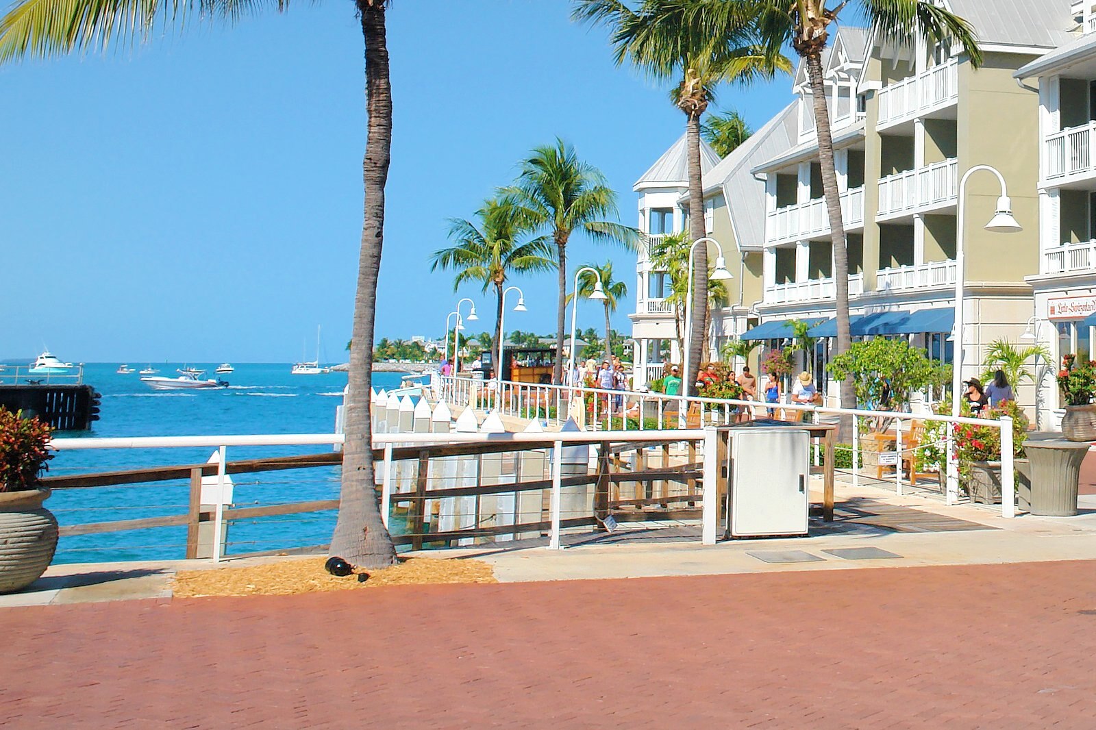 5 Places to Learn Something New in Key West - Key West’s Arts and ...