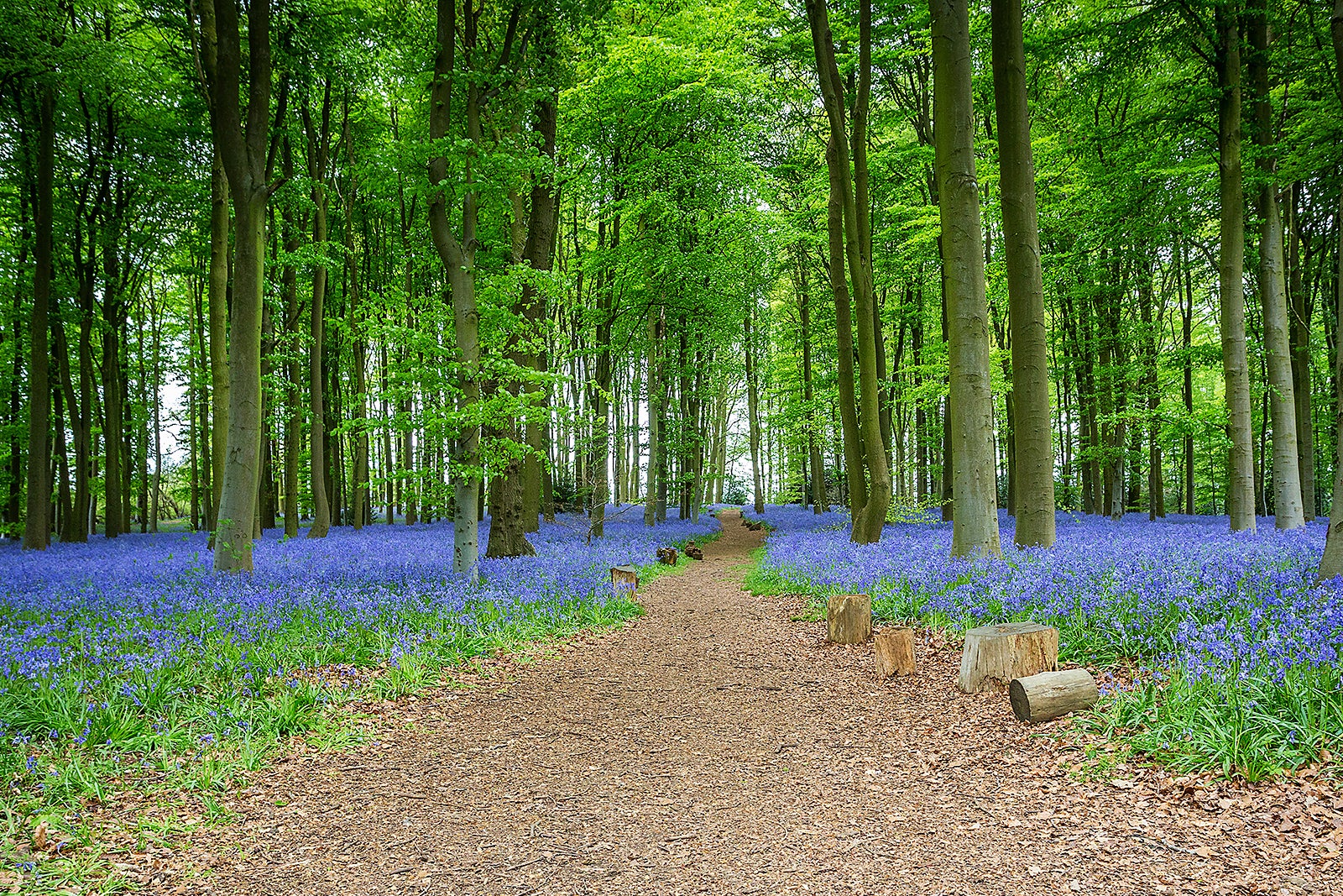 10 Best Things to Do in Northampton - See a Live Play, Visit a Farm or ...