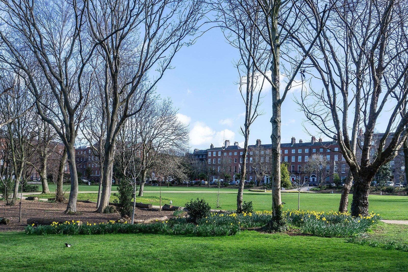 10 Best Parks in Dublin - Explore Dublin's Most Beautiful Outdoor ...