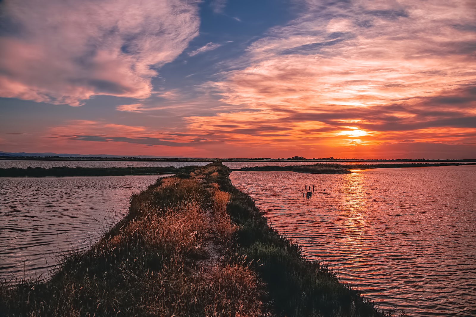 10 Best Things to Do in Cervia - What is Cervia Most Famous For? - Go ...