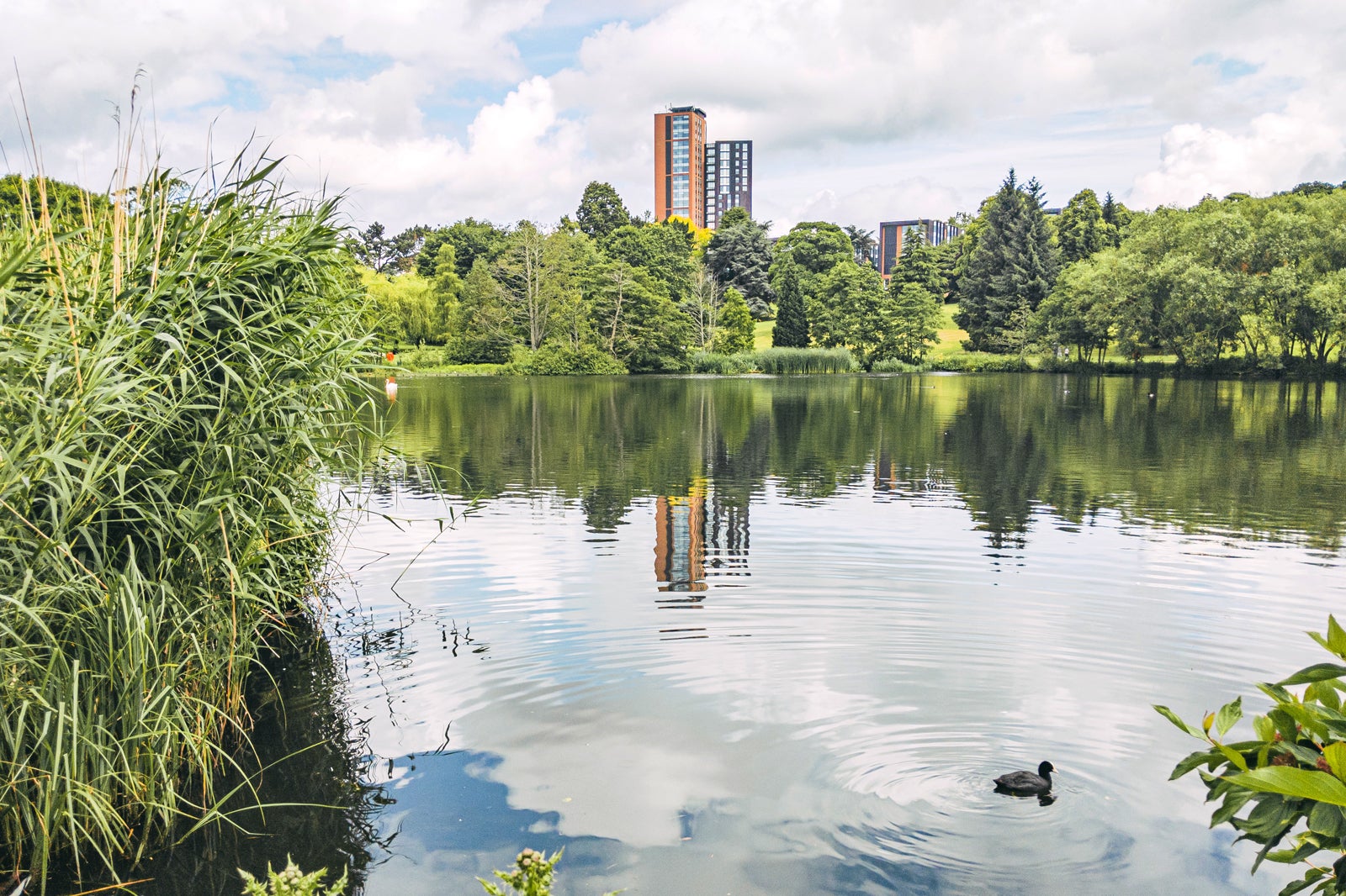 Edgbaston in Birmingham - Birmingham’s Vibrant Urban Village, Where the ...
