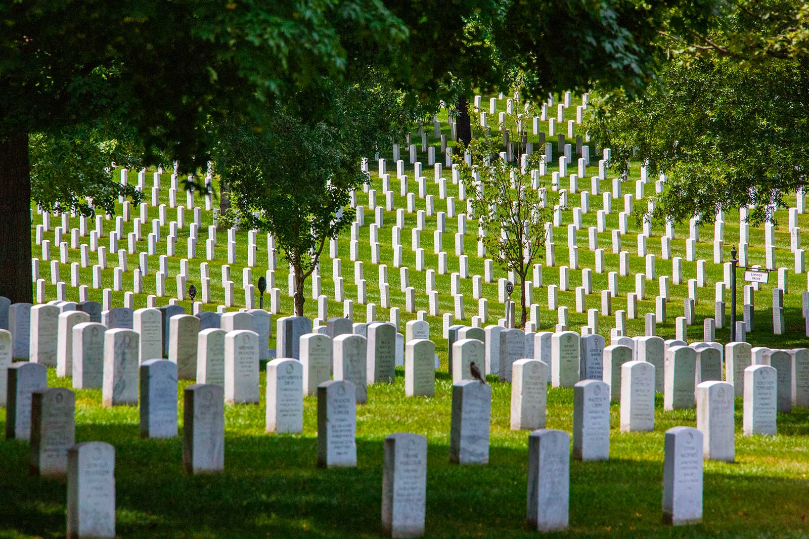 10 Moving Monuments and Historic Sites in the US - Where to Discover US ...