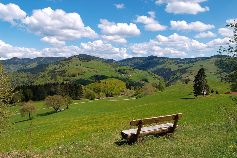 Black Forest - What you need to know before you go – Go Guides