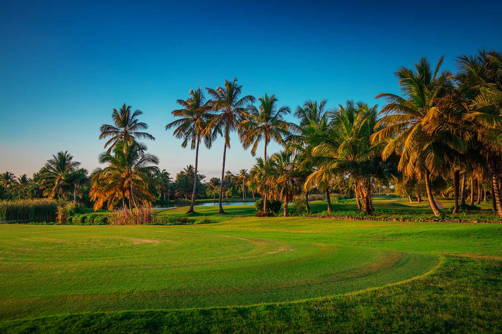 10 Best Golf Courses in Punta Cana - Where to Go in Punta Cana to Play ...