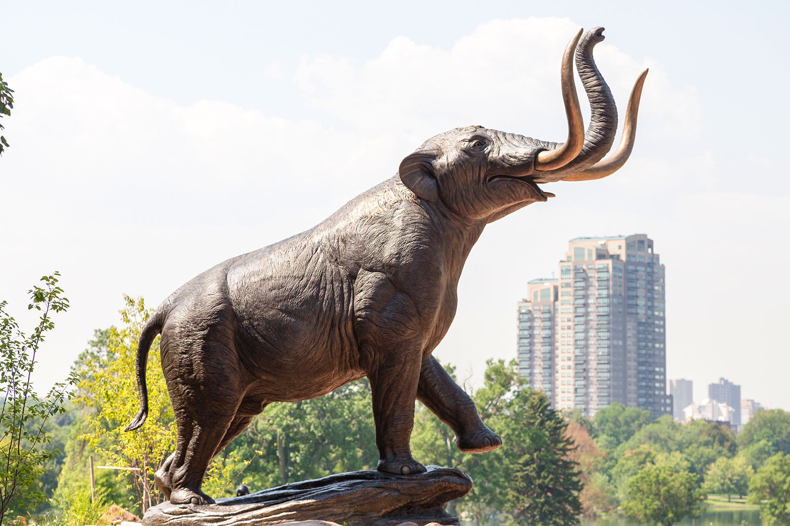 10 Best Museums in Denver - Where to Discover Denver’s History, Art ...