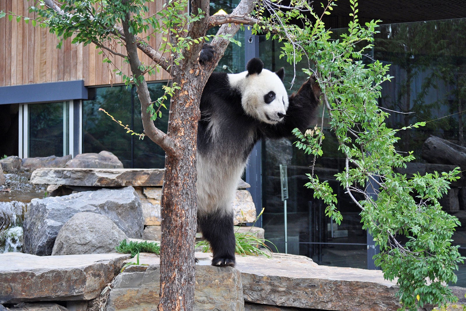 10 Best Things to Do in Adelaide - What is Adelaide Most Famous For ...