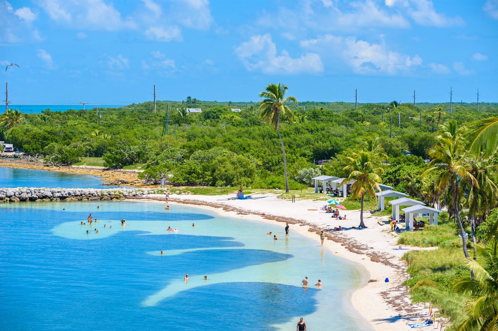 Large Online Sales We Offer FREE Same Day Shipping Top 10 Miami And The