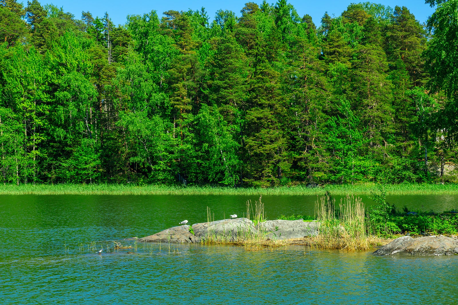 Vartiosaari - Metsäinen huvilasaari Helsingin itäosassa – Go Guides