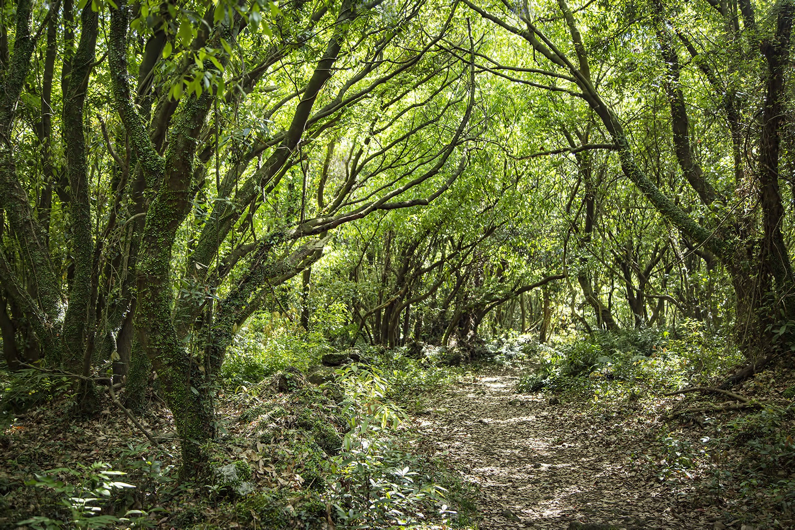 10 Best Natural Wonders of Jeju Island - Take a Road Trip Across Jeju ...