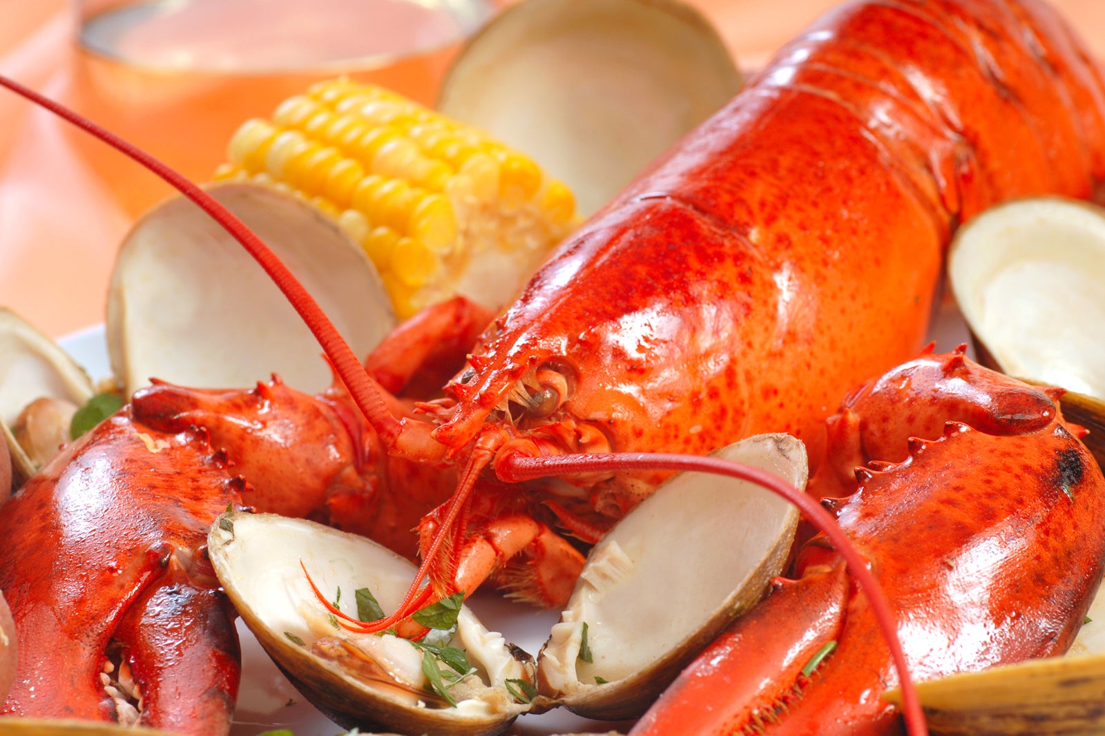 10 Great Restaurants in Reno - Where to Eat in Reno and What to Try ...