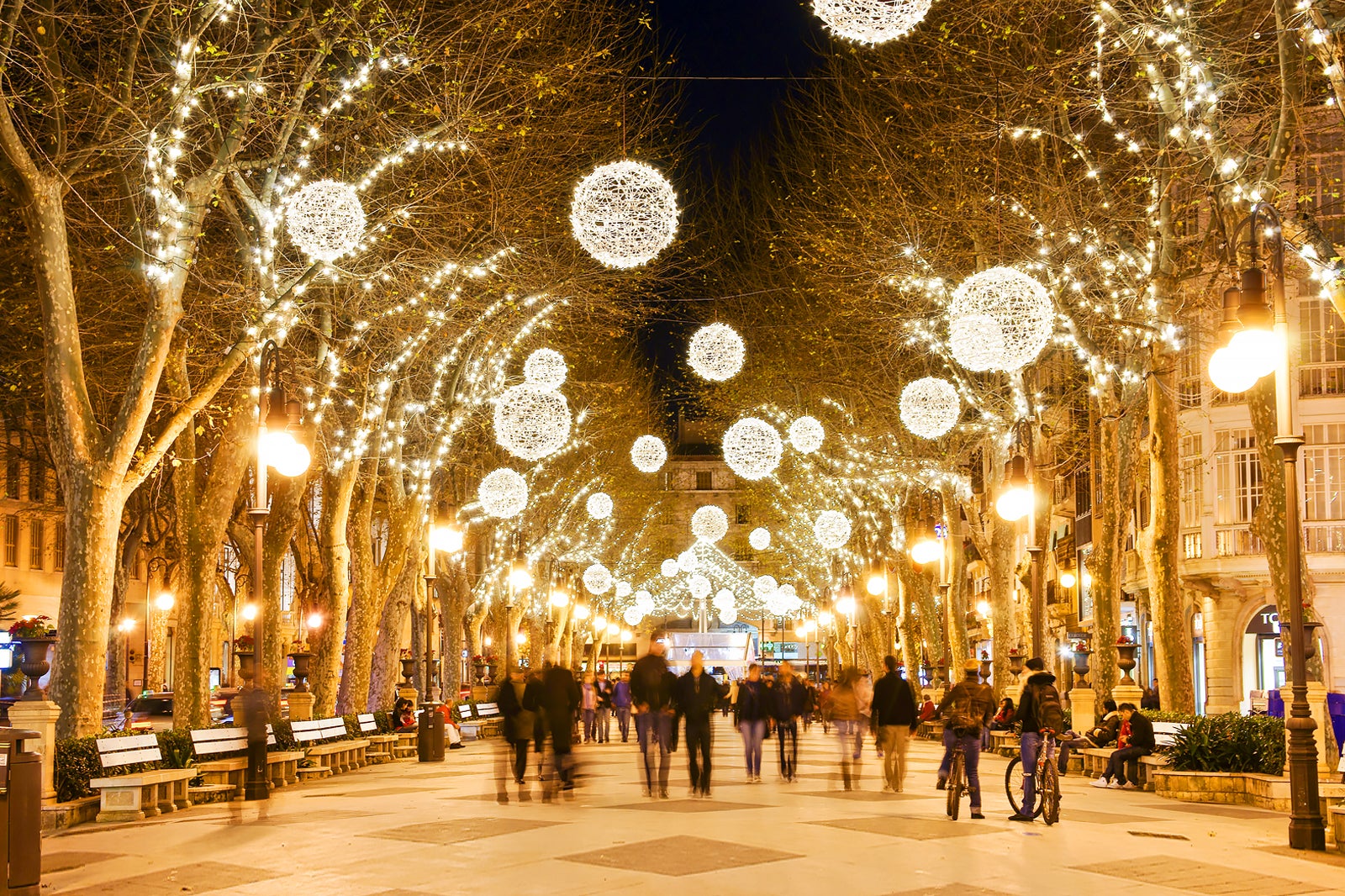 10 Best Things to Do After Dinner in Palma de Mallorca - Where to Go in ...