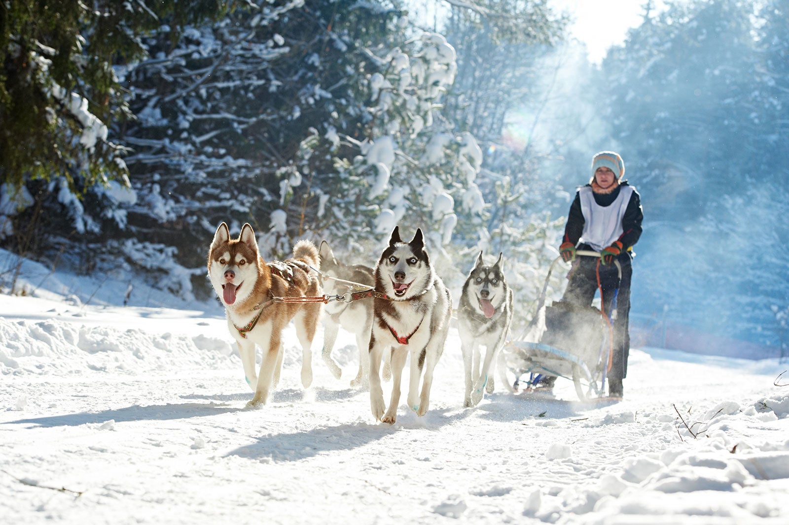 10 Best Things to Do in Winter in the US - Make the Most of Your Winter ...