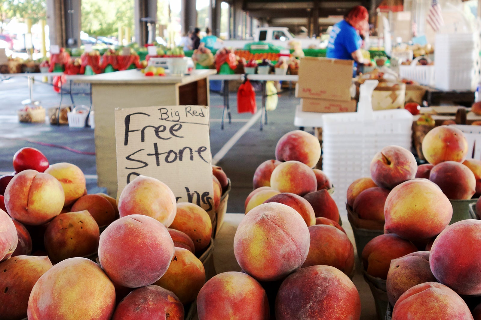 10 Best Things to Do in Raleigh - What is Raleigh Most Famous For? – Go ...