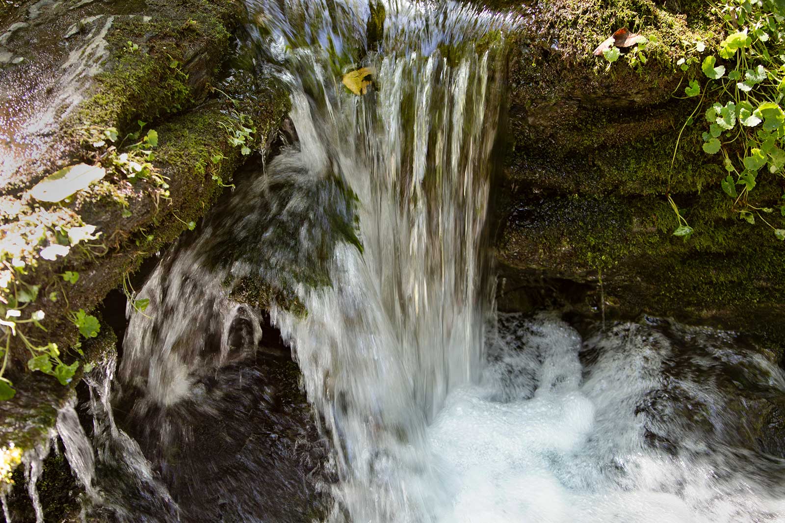 10 Best Waterfalls in the Dominican Republic - Escape for a day to the ...