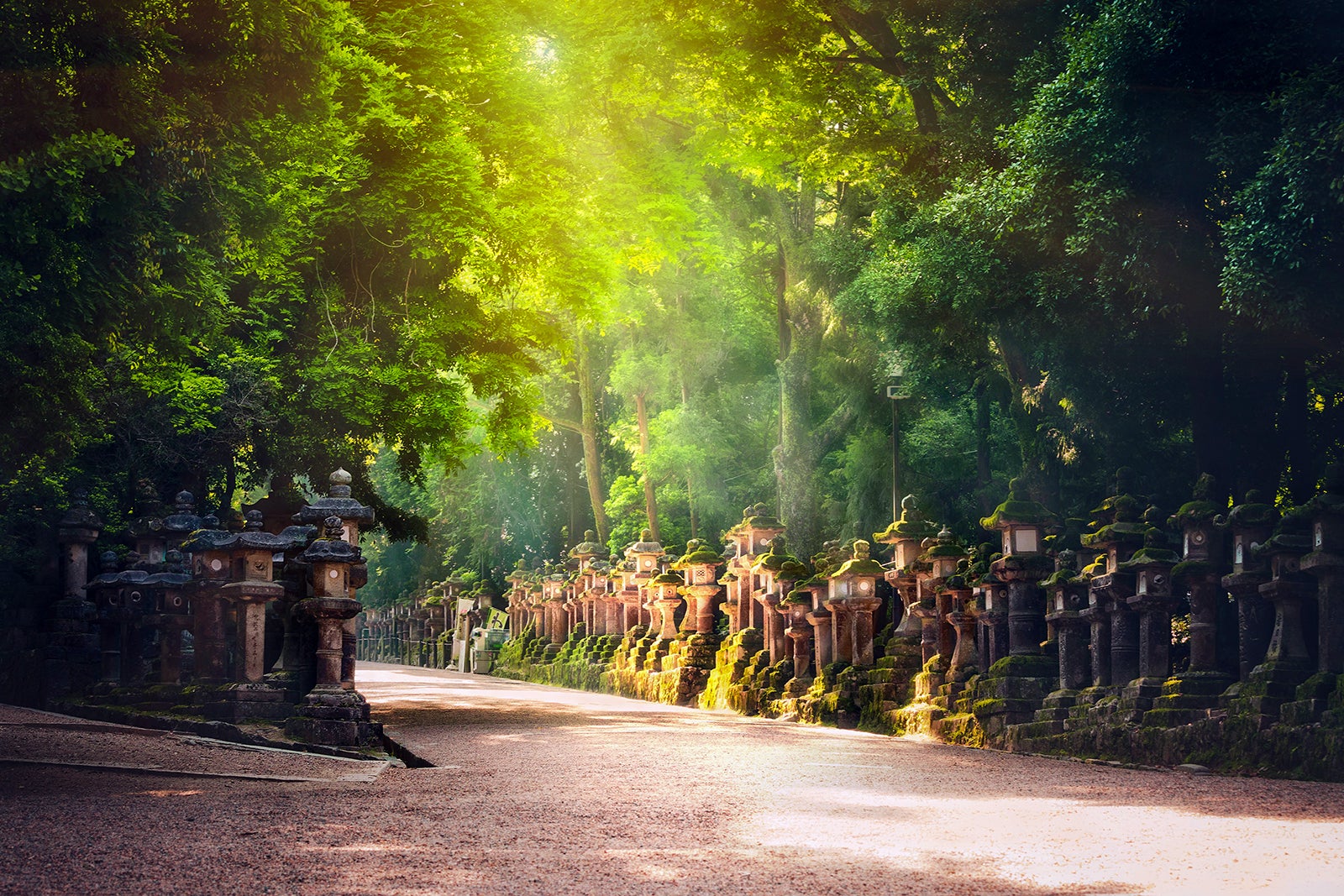 10 Best Things to Do for Couples in Nara - What to Do on a Romantic ...