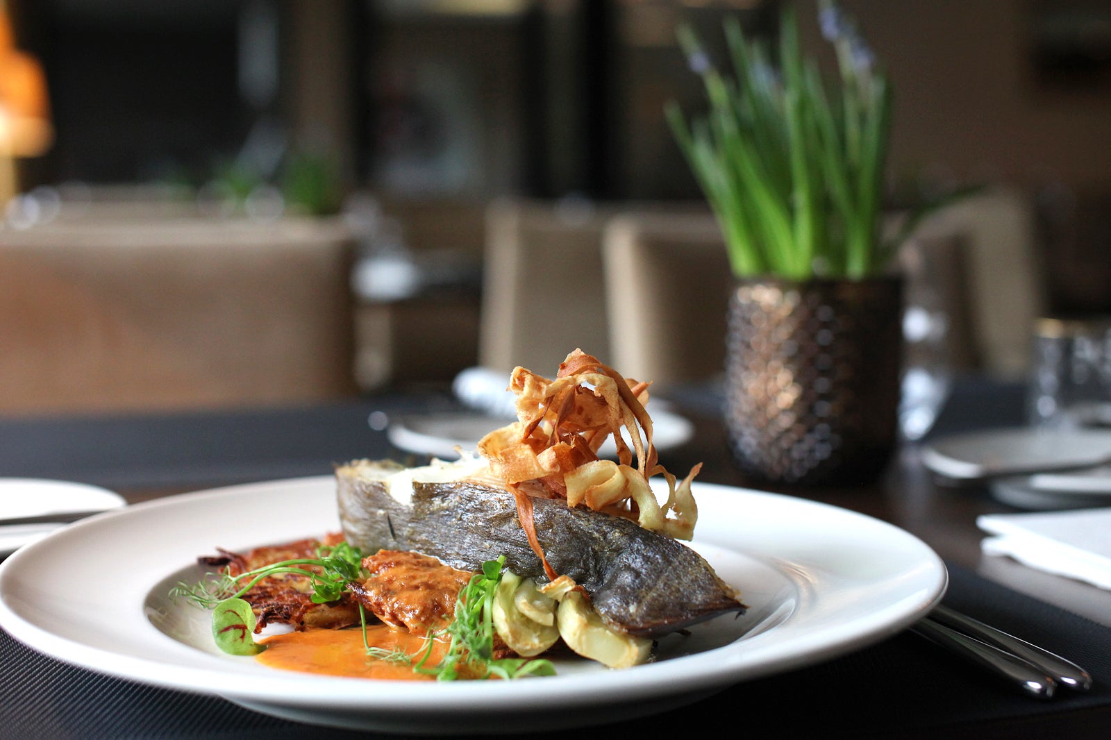 10 Great Restaurants in Manchester - Where to Eat in Manchester and ...