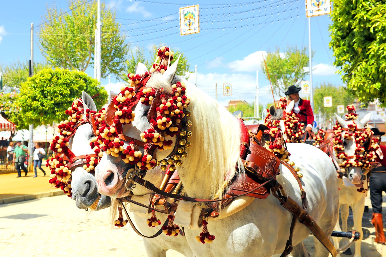 Malaga Travel Essentials - Useful Information to Help You Start Your ...