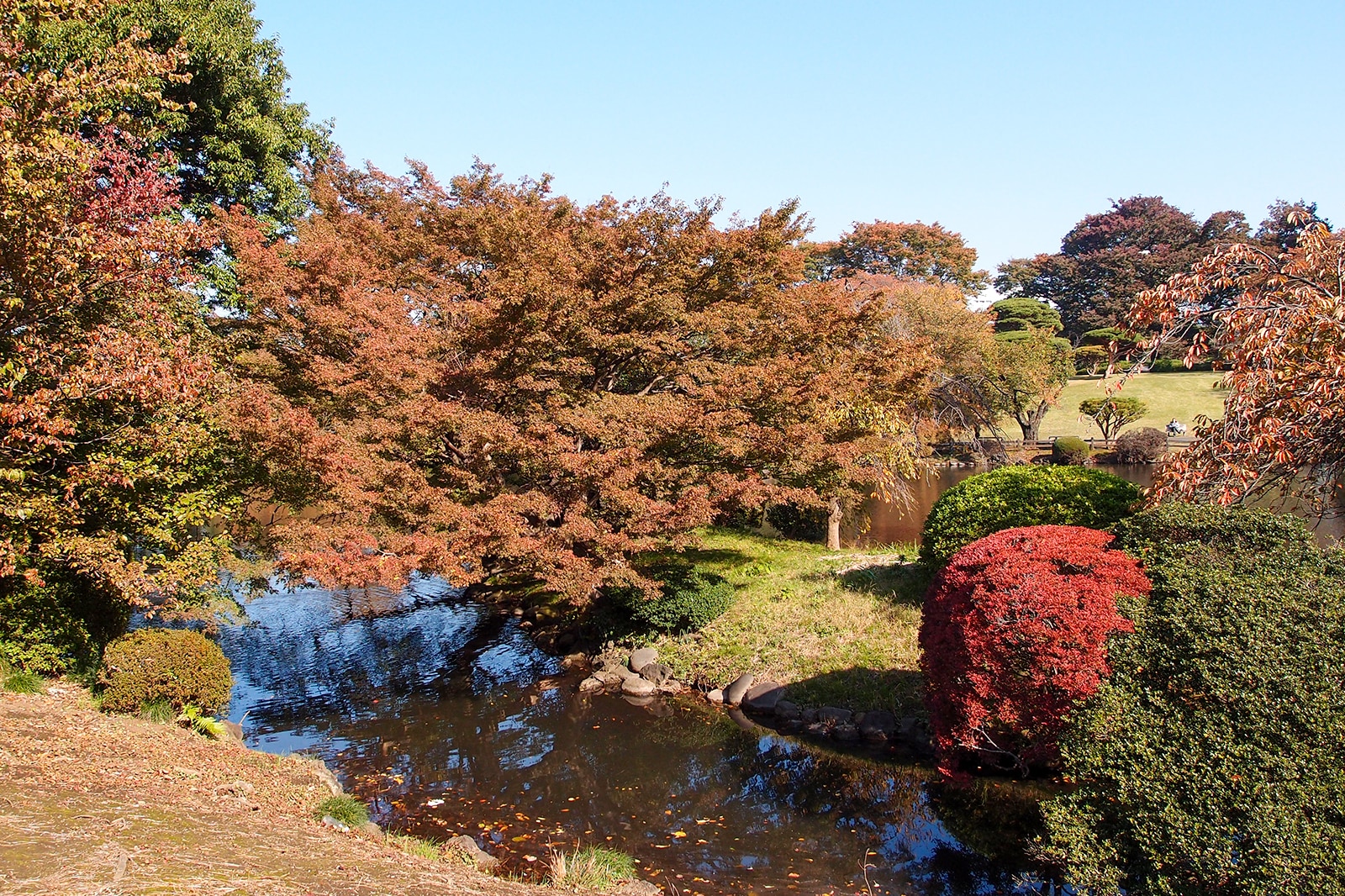 10 Best Places to See Changing Autumn Leaves in Tokyo - Fall Foliage ...