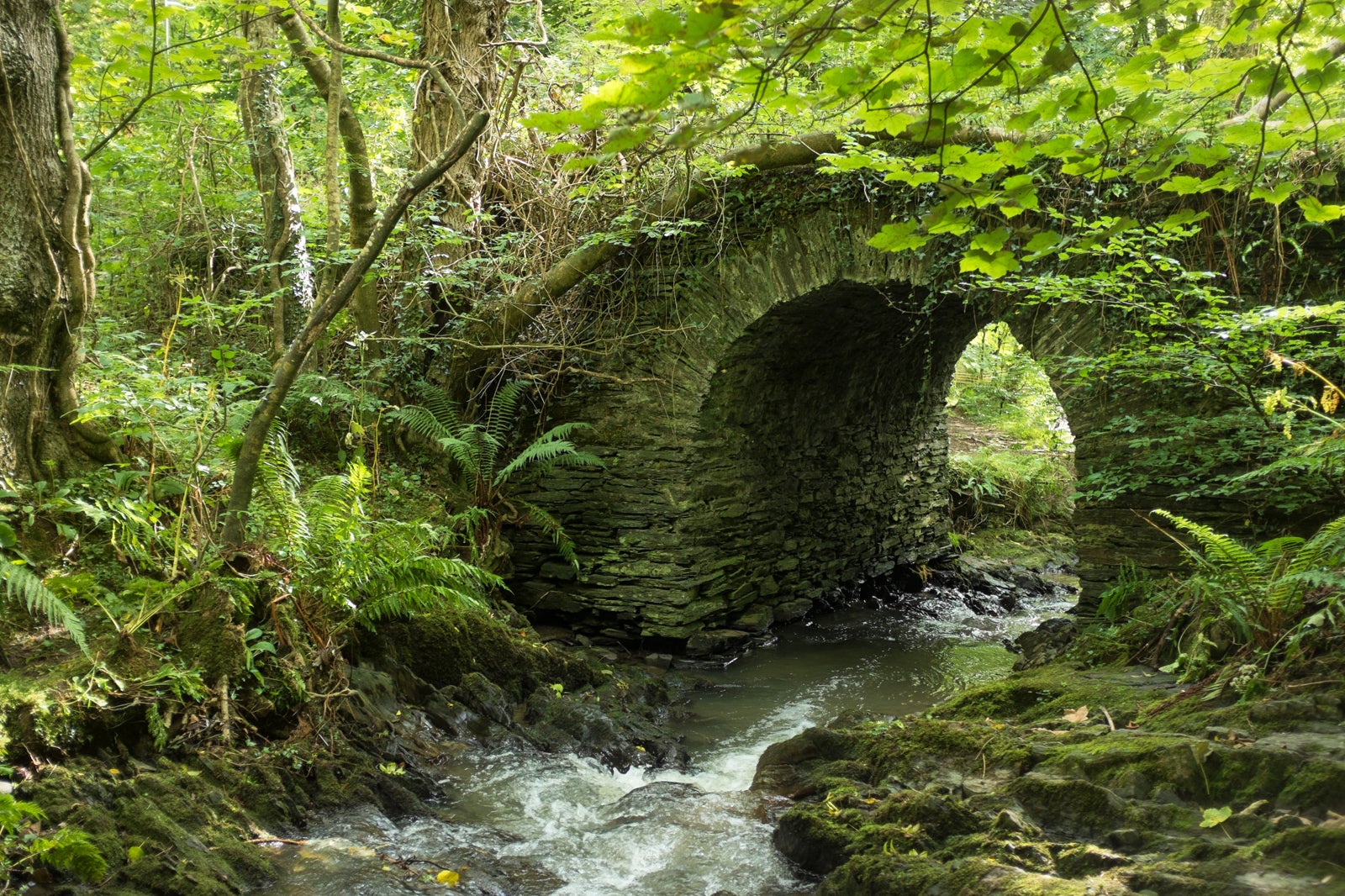 Las 11 mejores cosas que hacer en la Isla de Man - ¿Cuáles son los ...