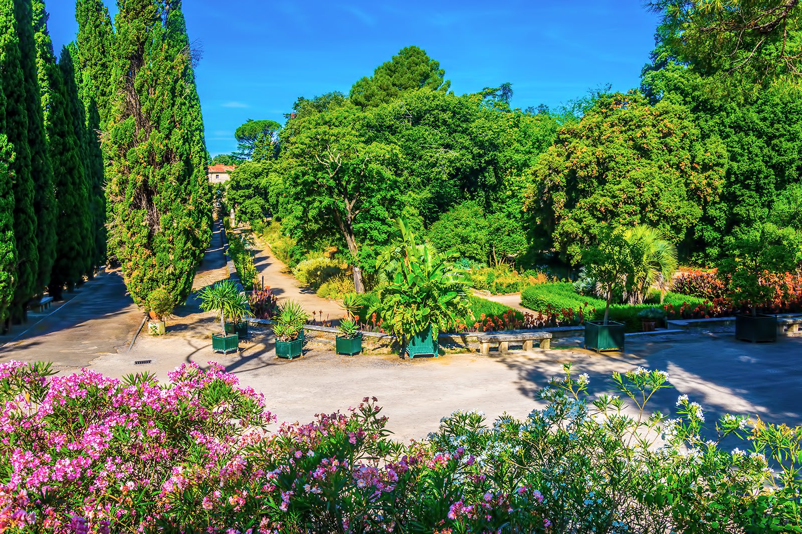 10 Best Things to Do for Couples in Montpellier - What to Do on a ...