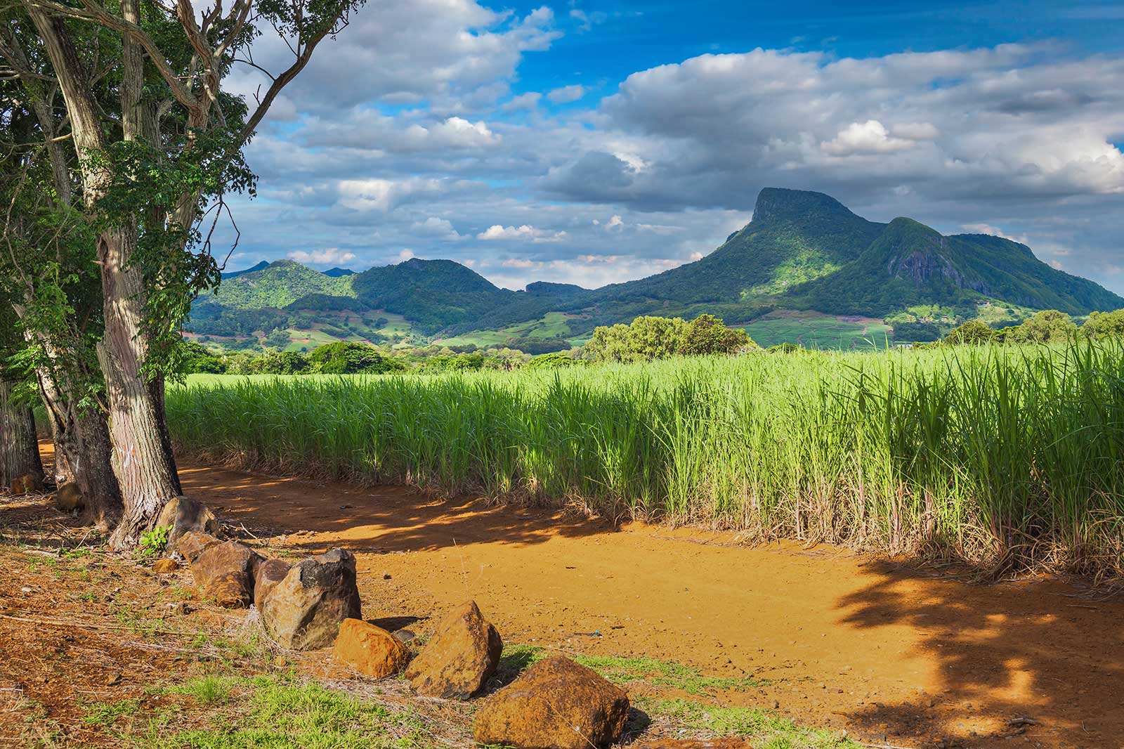 10 Best Hikes in Mauritius - Take a Walk Around Mauritius’ Most ...