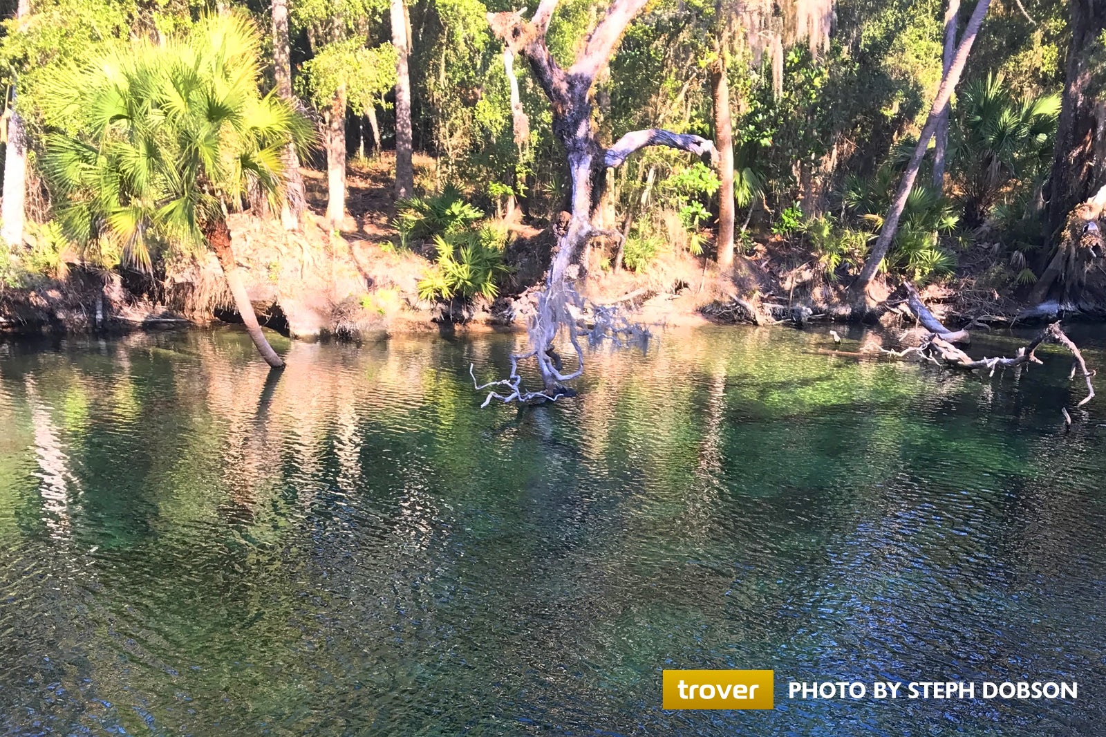 Blue Spring State Park - Florida State Park Near Orlando