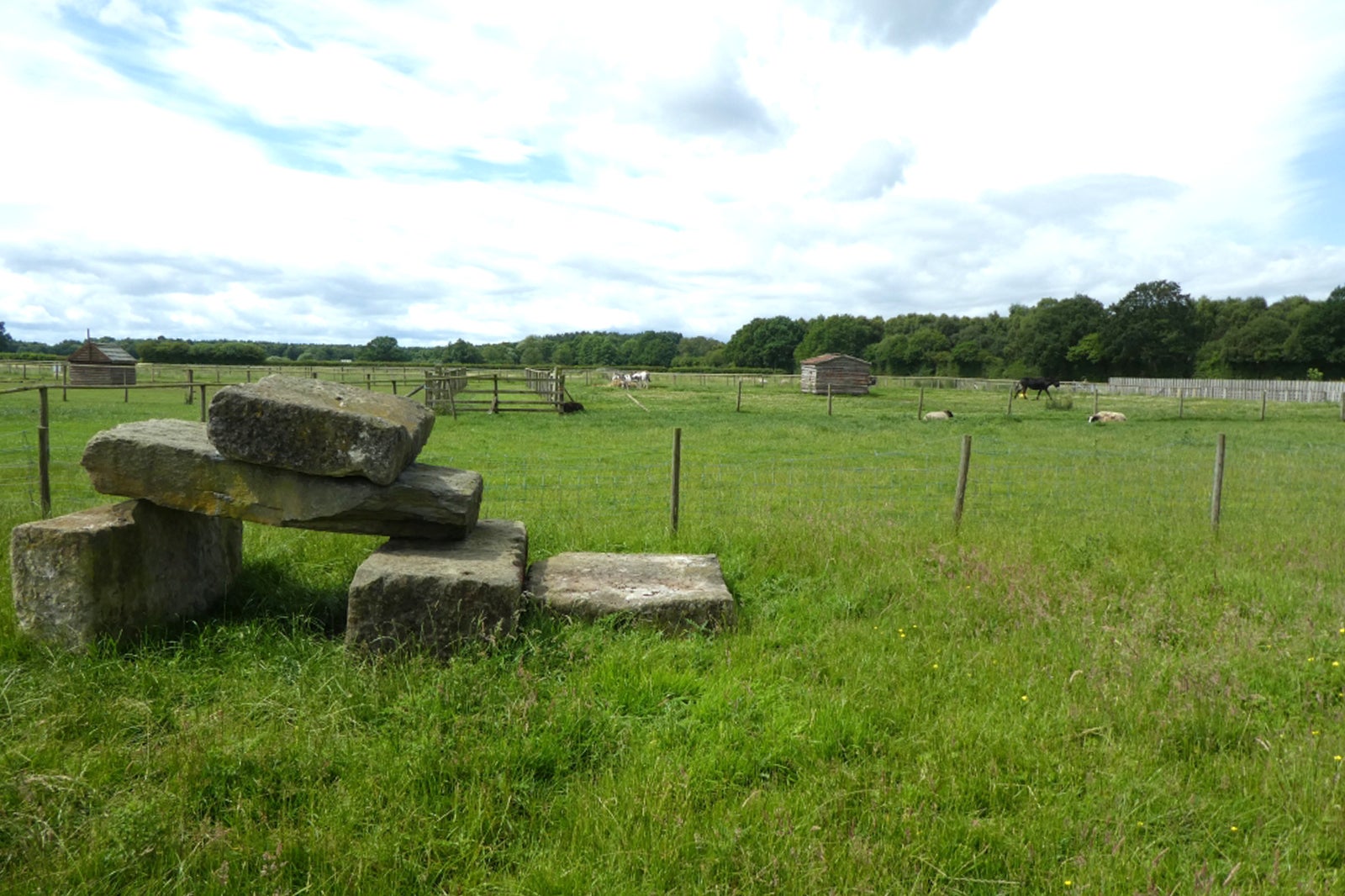 10 Best Family Things to Do in York - What to Do for Fun in York with ...