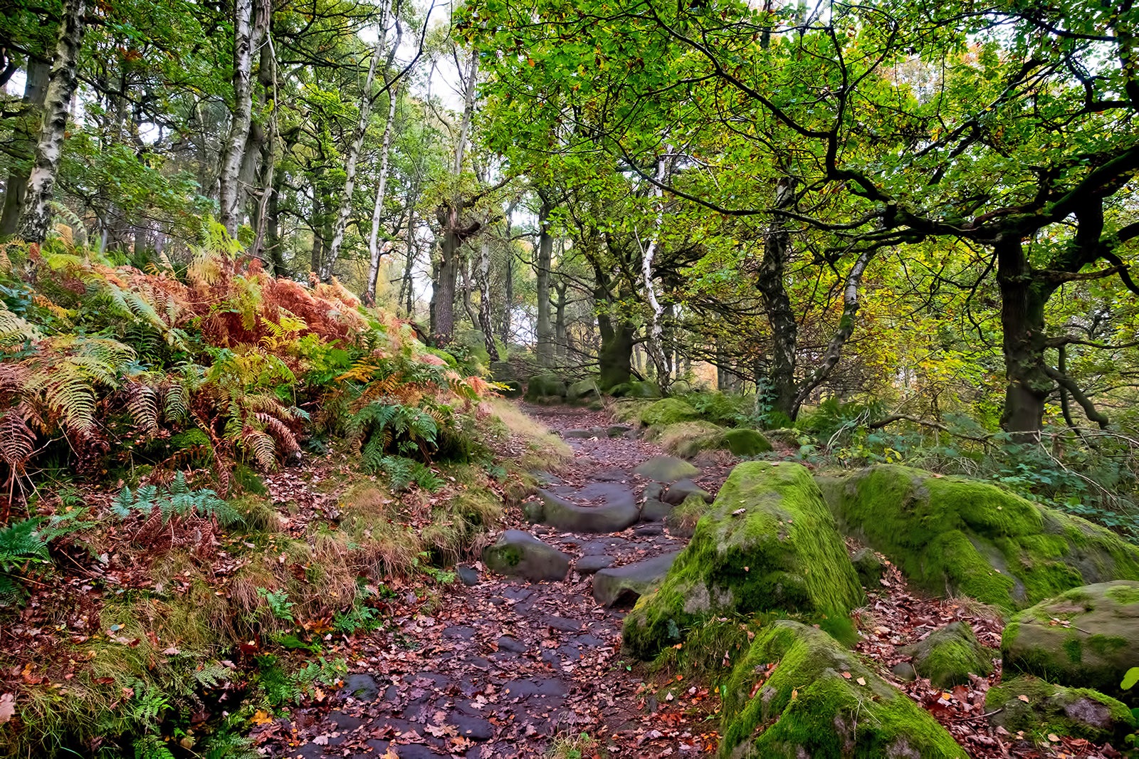 10 Best Hiking Trails in the Peak District - Strap on Your Pack for a ...